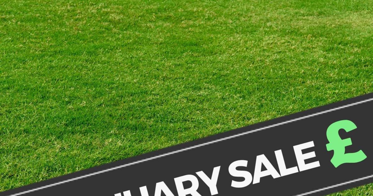 Lawn Turf | Buy Turf