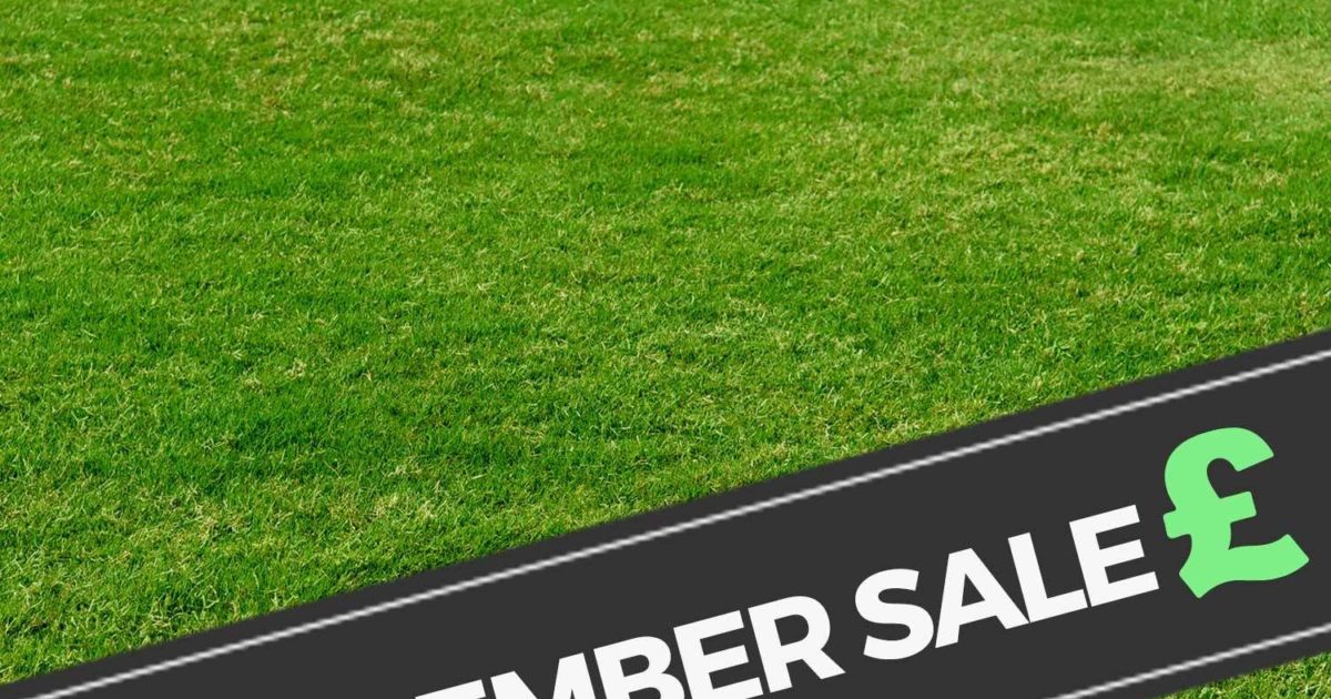 Lawn Turf | Buy Turf