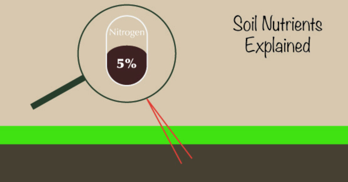 Nutrients in Soil | Online Soil