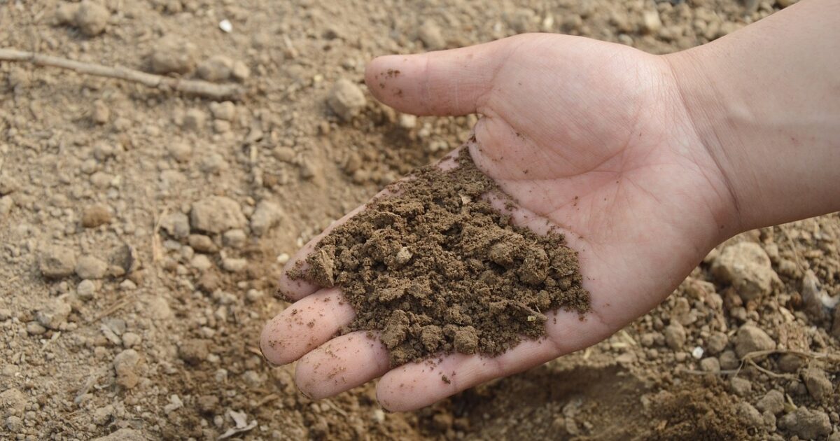 Does Soil Type Affect Turf Laying? | Online Turf