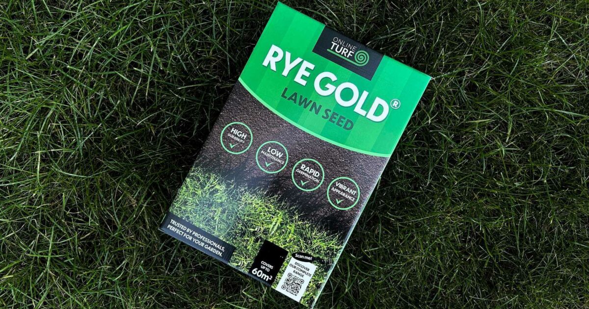 Grass Seed: Why Choose Our New Product? | Online Turf