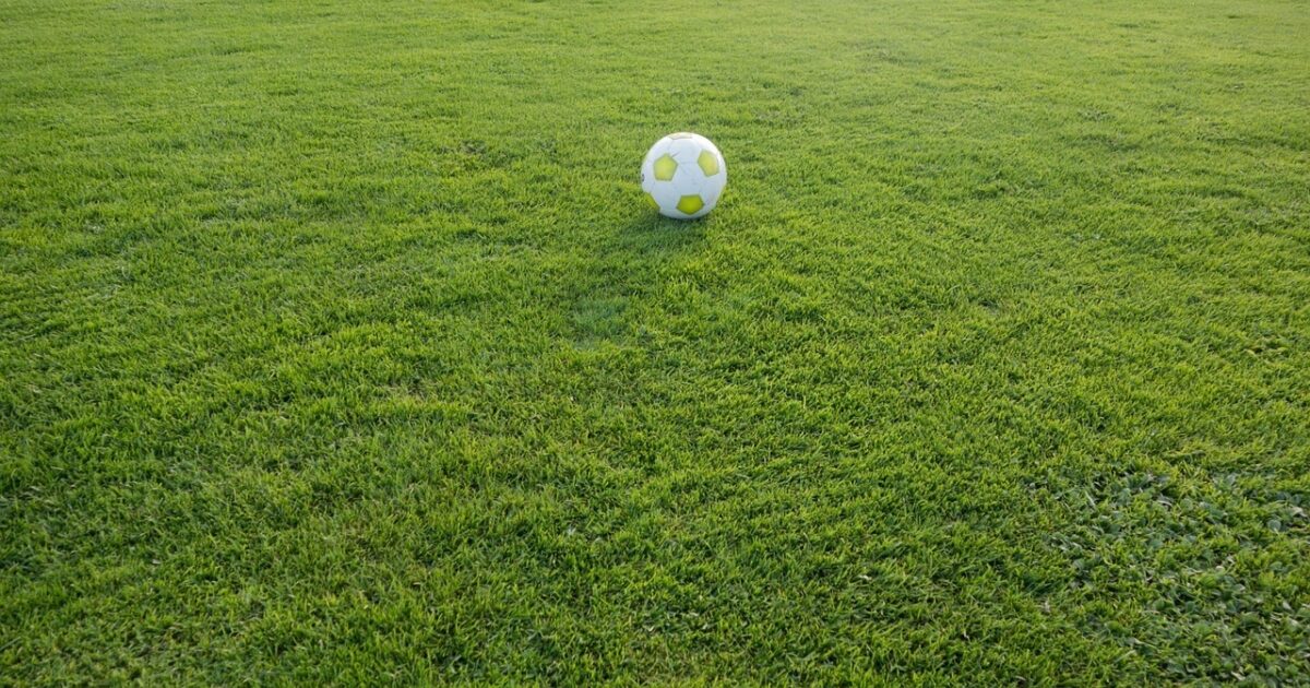 Choosing Turf for Community Spaces | Online Turf