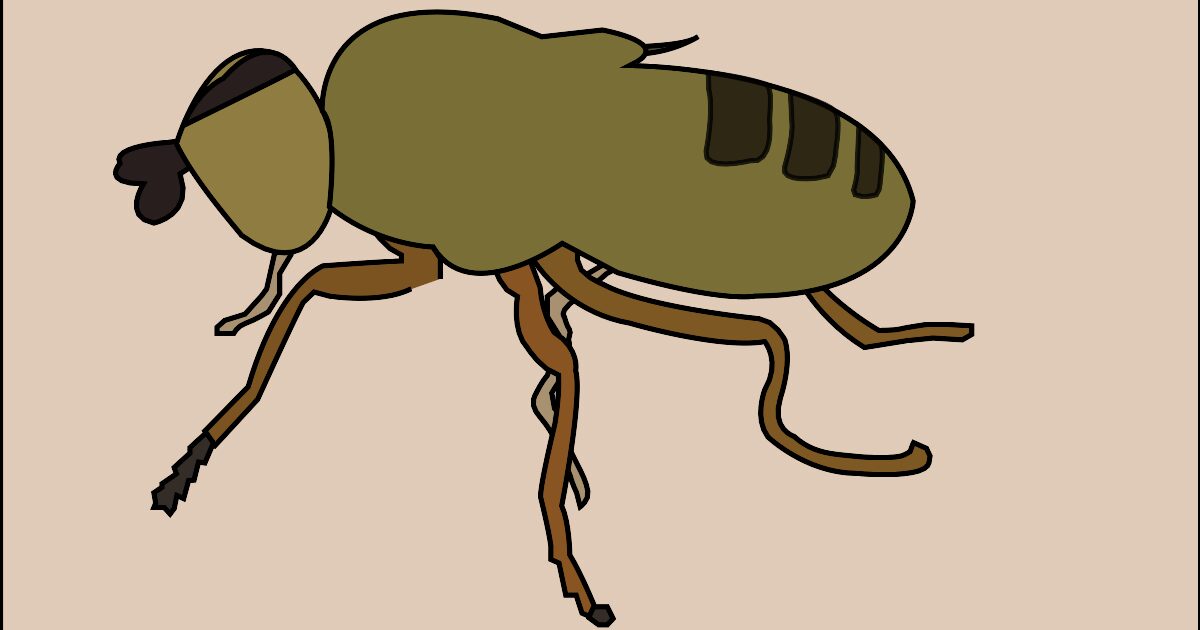 Frit Flies in Lawn & How to Control Them | Online Turf