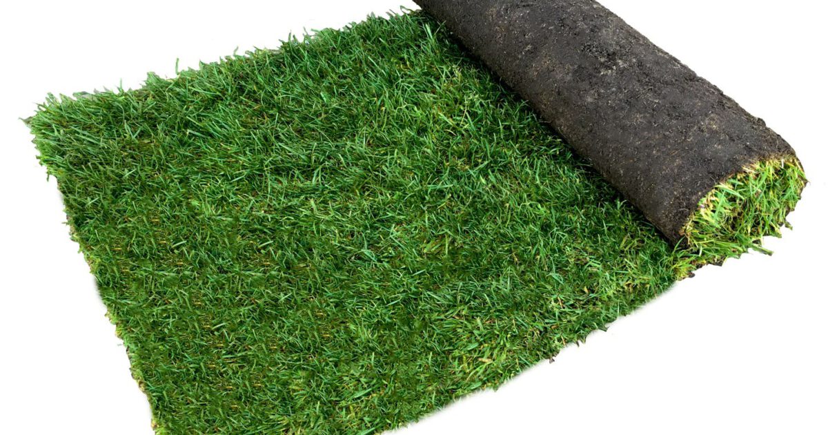 Stadium Turf | Hardwearing Lawn | Online Turf