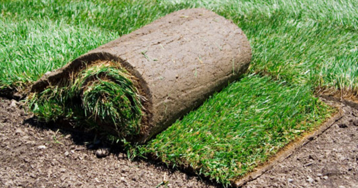 About Online Turf, the UK Lawn Experts | Online Turf